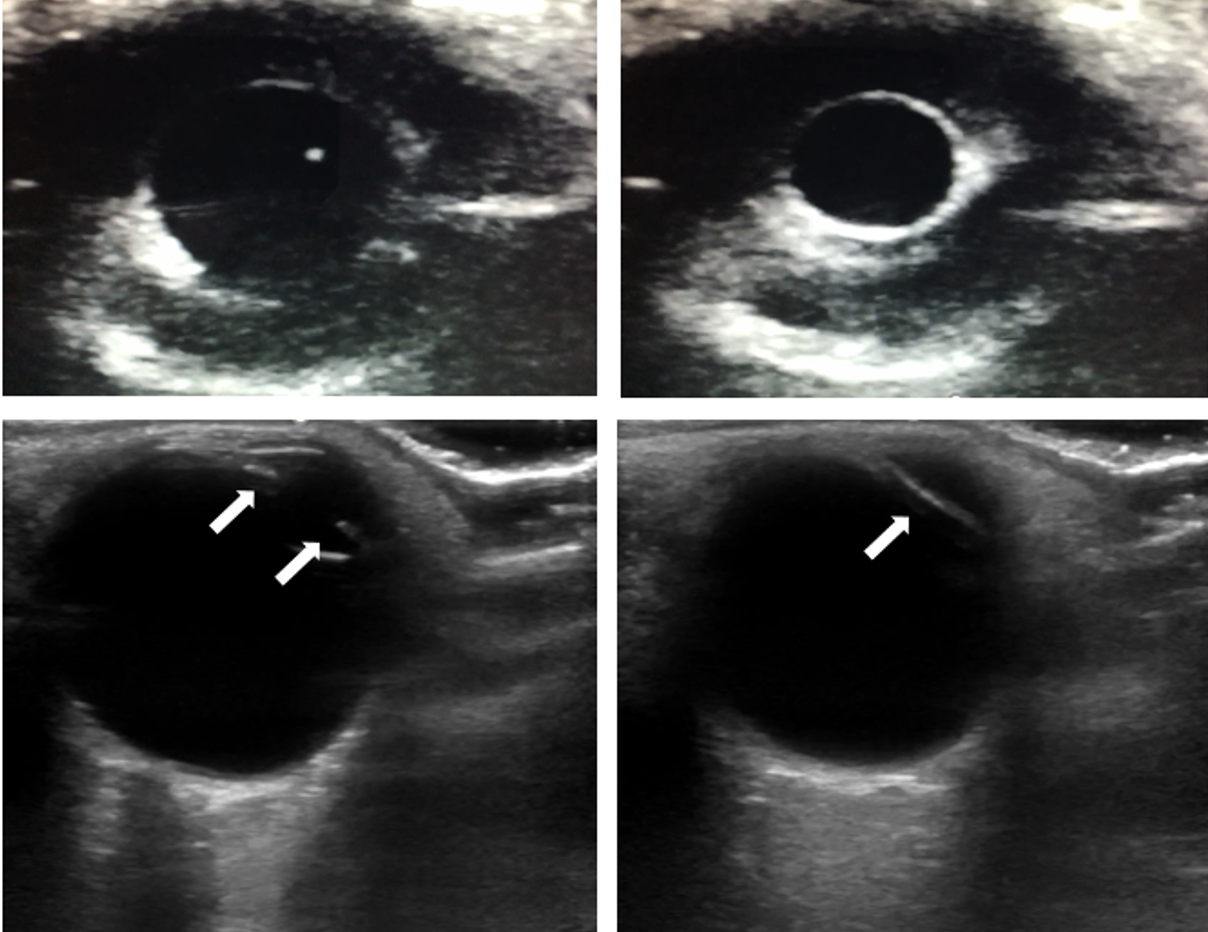 Cases – Critical Care Scenarios